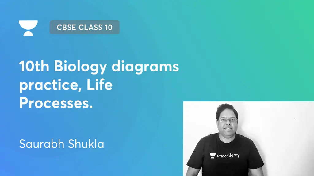 CBSE Class 10 - 10th Biology diagrams practice, Life Processes. by ...