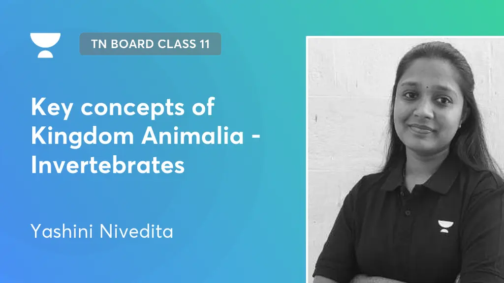 TN Board Class 11 - Key concepts of Kingdom Animalia - Invertebrates by ...