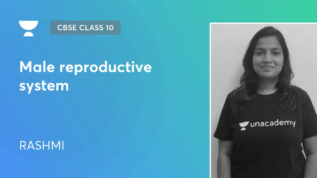 CBSE Class 10 - Male reproductive system by Unacademy